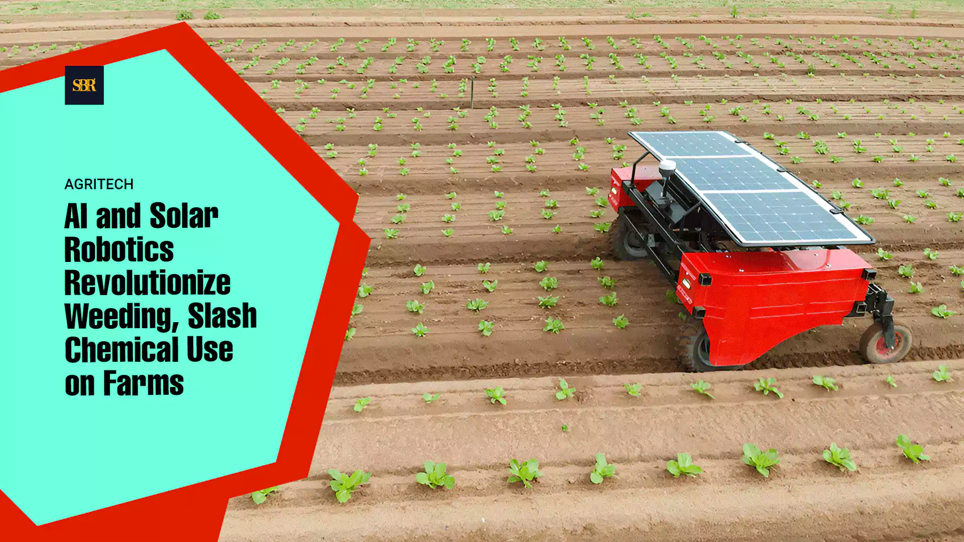 AI and Solar Robotics Revolutionize Weeding, Slash Chemical Use on Farms